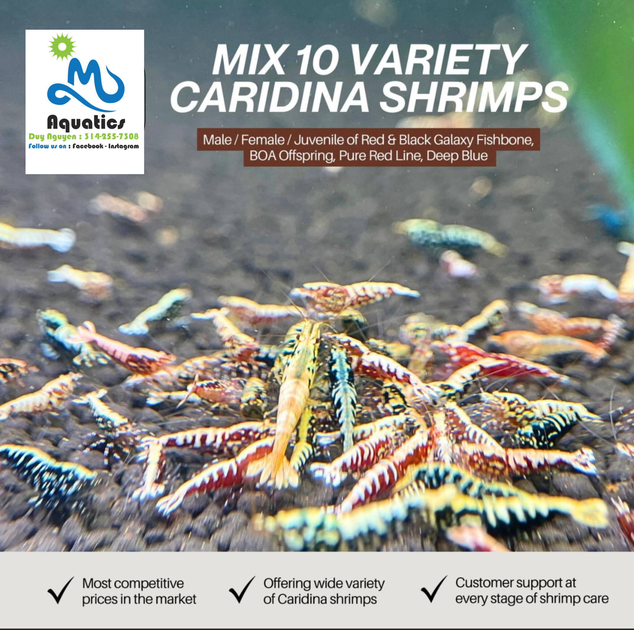 Shop – MO Aquatics